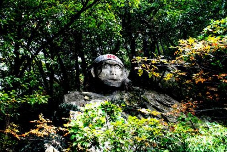 Gunung Huaguo, Tempat Kelahiran Monkey King "Sun Go Kong" di Cina ...