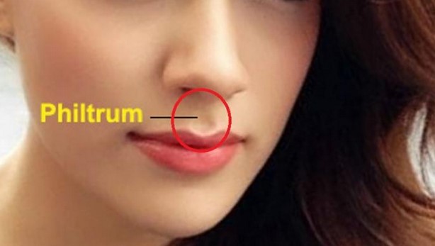 Tahukah Kamu? Apa Fungsi Lekukan di Bagian Tengah Bibir Atas ...